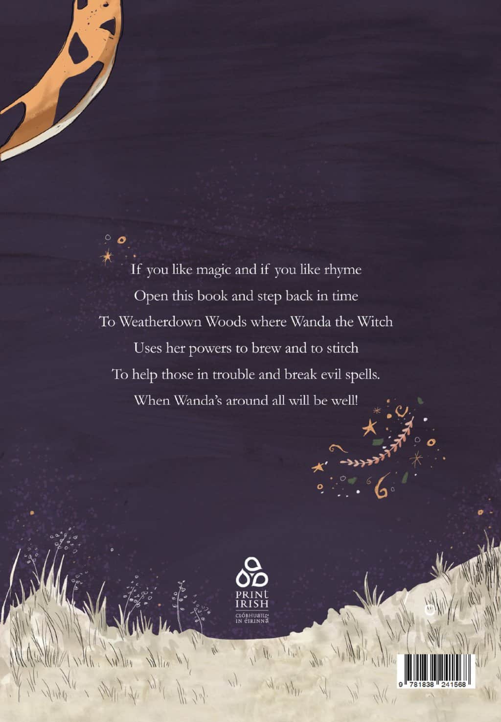 Introducing Wanda The Witch | Buythebook.ie