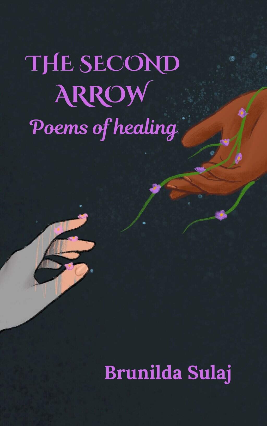 THE SECOND ARROW | Buythebook.ie