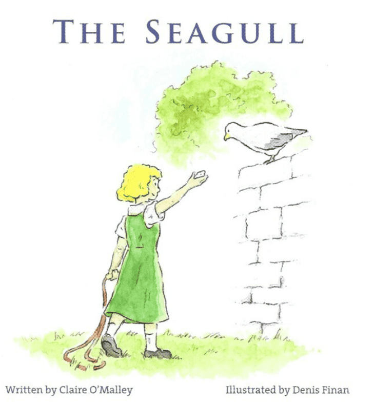 The Seagull | Buythebook.ie